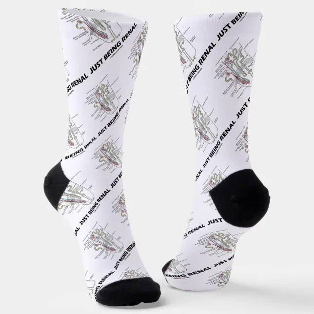 Just Being Renal Kidney Nephron Anatomy Humor Socks | Zazzle