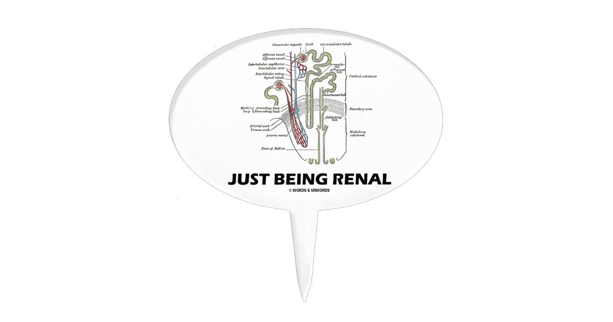 Just Being Renal (Kidney Nephron Renal Humor) Cake Topper | Zazzle