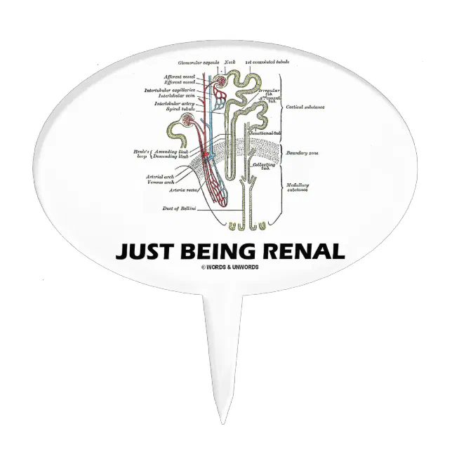 Just Being Renal (Kidney Nephron Renal Humor) Cake Topper | Zazzle
