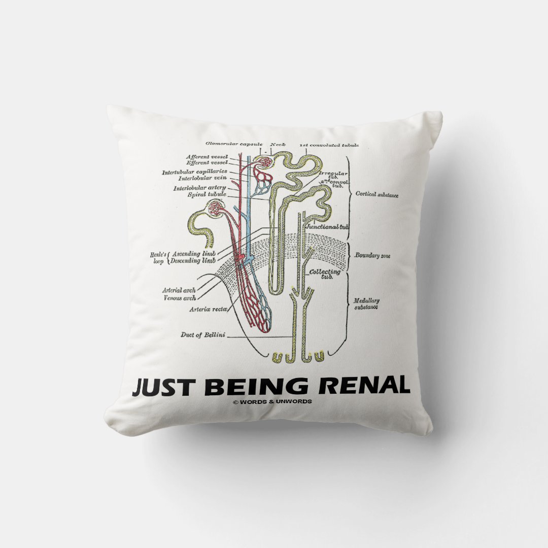 Just Being Renal (Kidney Nephron Renal Humor) Throw Pillow | Zazzle