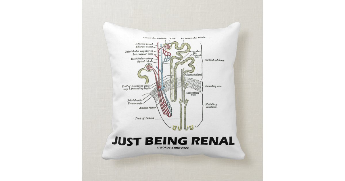 Just Being Renal (Kidney Nephron Renal Humor) Throw Pillow | Zazzle.com