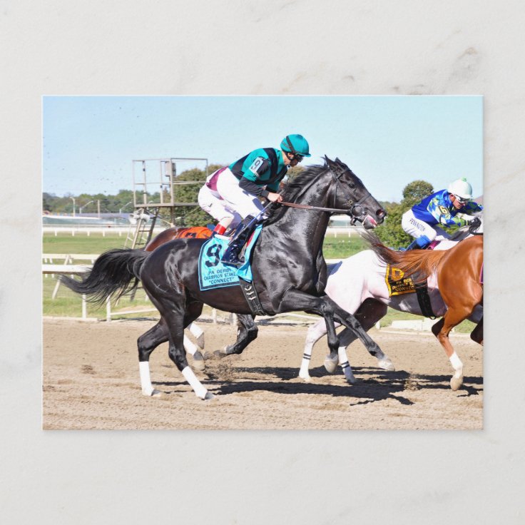 Just Call Kenny Postcard | Zazzle