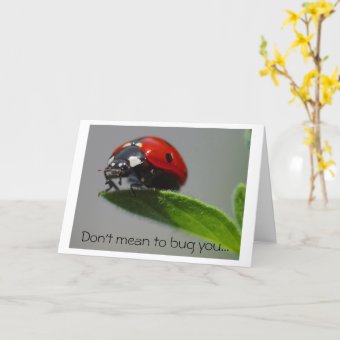 Just checking in card | Zazzle