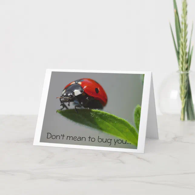 Just checking in card | Zazzle