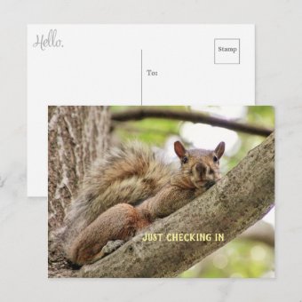 Just Checking In To See How You've Been Postcard | Zazzle