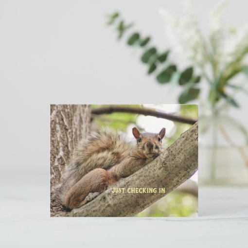 Just Checking In To See How You've Been Postcard | Zazzle
