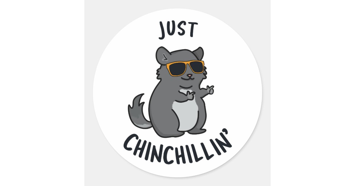 Just Chin-Chillin Funny Chinchilla Pun Classic Round Sticker | Zazzle