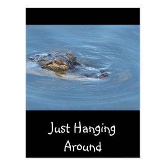 Just Hanging Around Cards | Zazzle