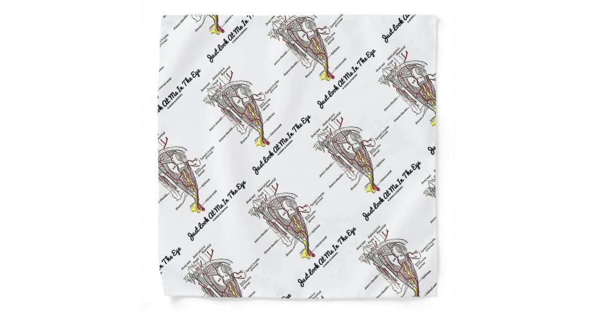Just Look At Me In The Eye Human Eye Anatomy Bandana | Zazzle
