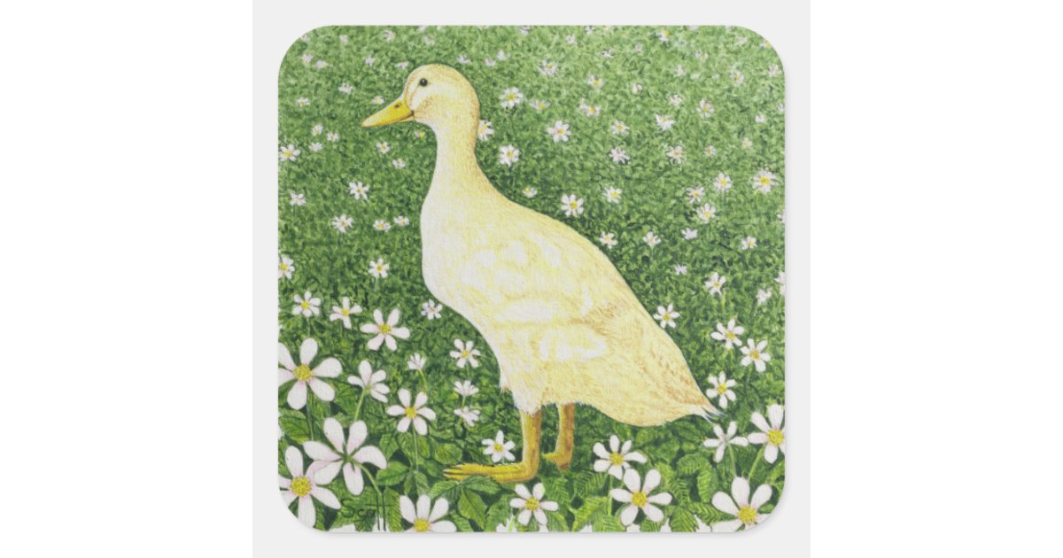 Just Looking Square Sticker | Zazzle