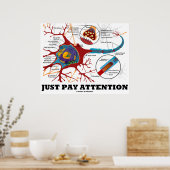Just Pay Attention (Neuron / Synapse Anatomical) Poster | Zazzle