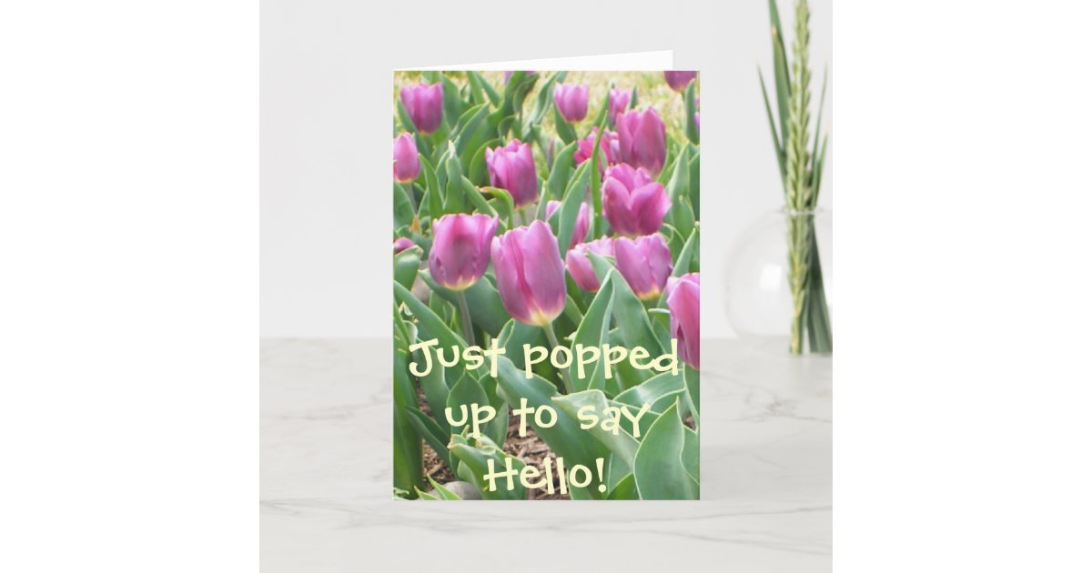 JUST POPPIN UP TO SAY HELLO! CARD | Zazzle
