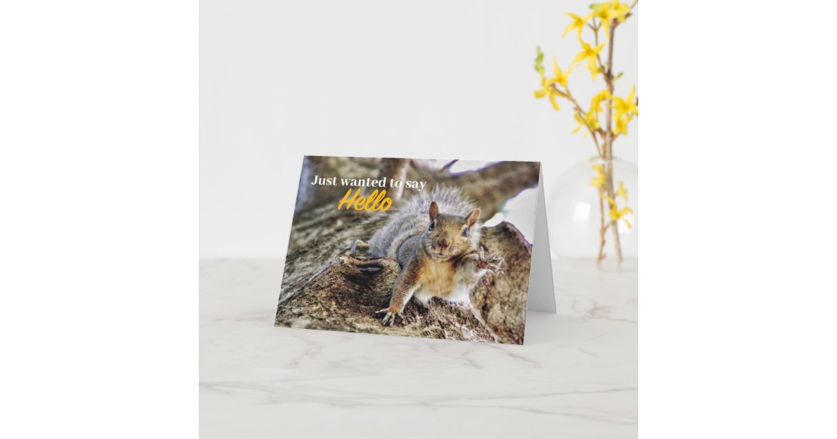 Just Popping In To Say Hello Card | Zazzle