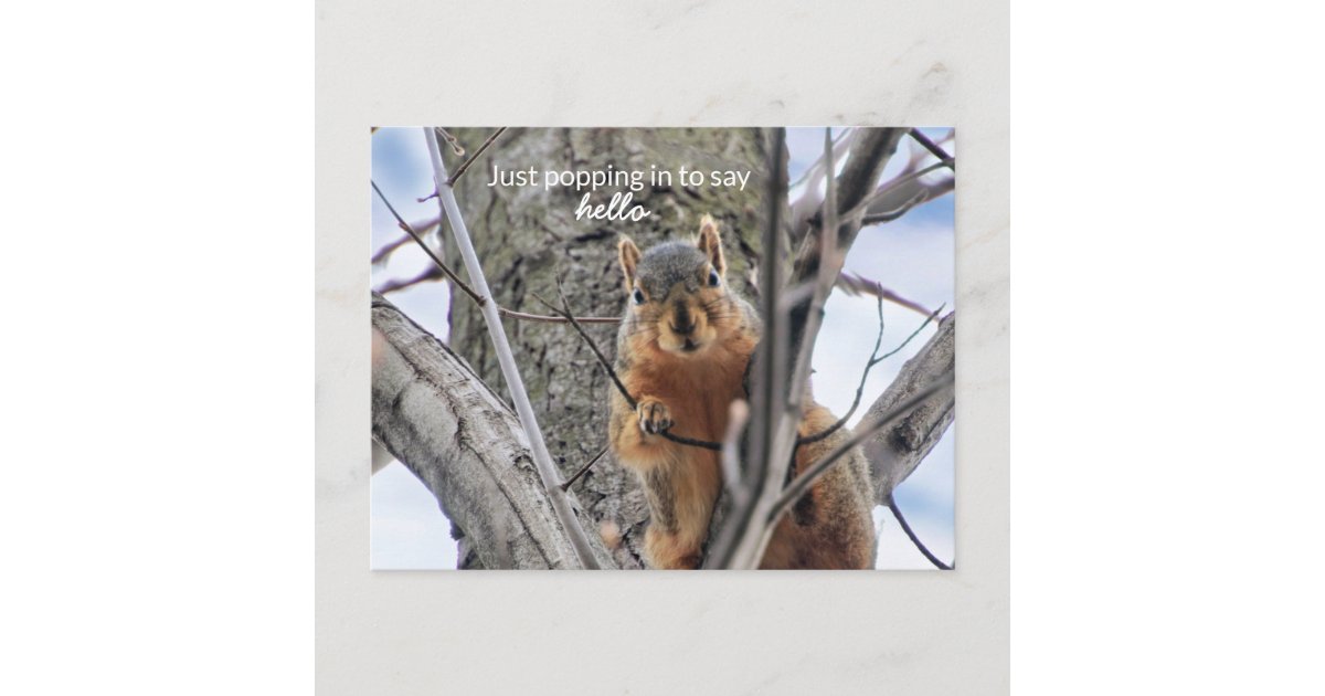 Just Popping In to Say Hello Holiday Postcard | Zazzle