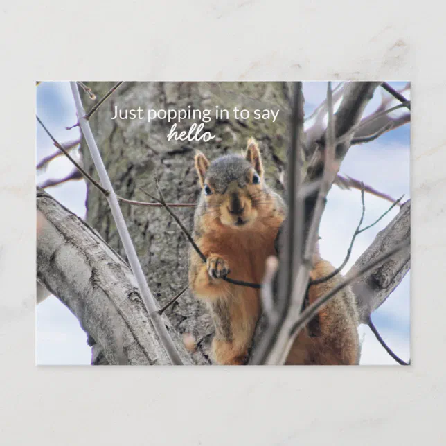 Just Popping In to Say Hello Holiday Postcard | Zazzle
