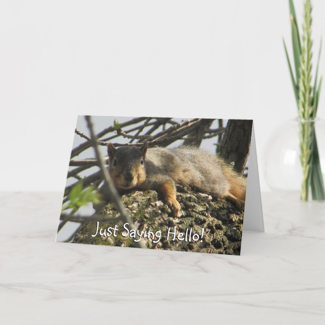 Just Saying Hello Cute Squirrel in Tree Card | Zazzle