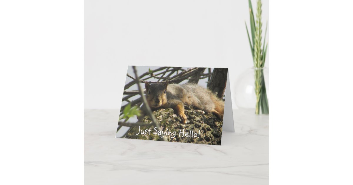 Just Saying Hello Cute Squirrel in Tree Card | Zazzle