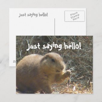 Just saying hello! Prairie Dog Postcard | Zazzle