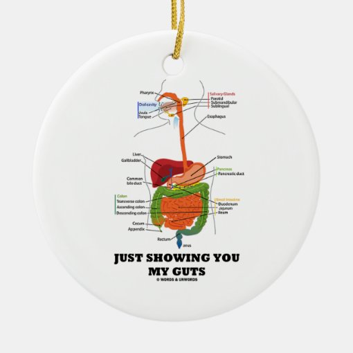 Just Showing You My Guts (Digestive System Humor) Ceramic Ornament | Zazzle