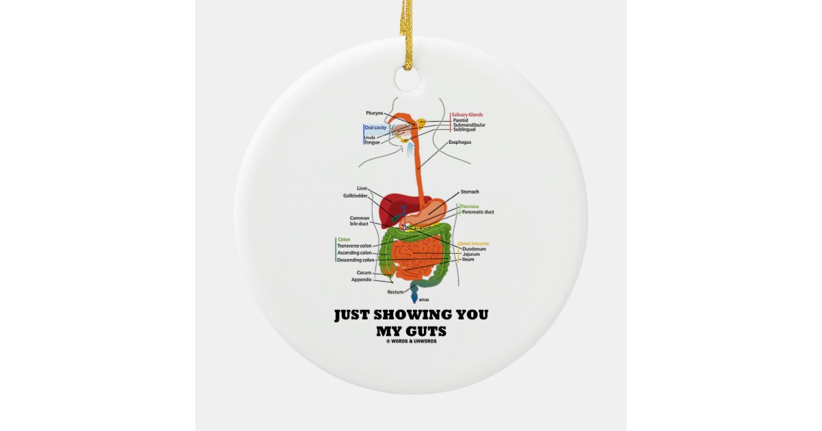 Just Showing You My Guts (Digestive System Humor) Ceramic Ornament | Zazzle