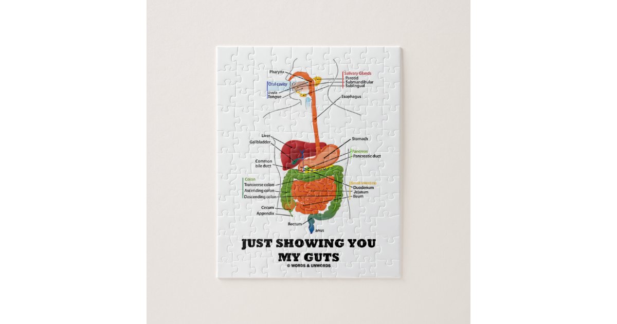 Just Showing You My Guts (Digestive System Humor) Jigsaw Puzzle | Zazzle