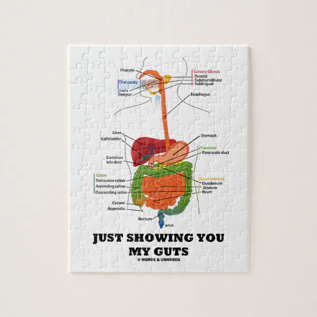 Just Showing You My Guts (Digestive System Humor) Jigsaw Puzzle | Zazzle