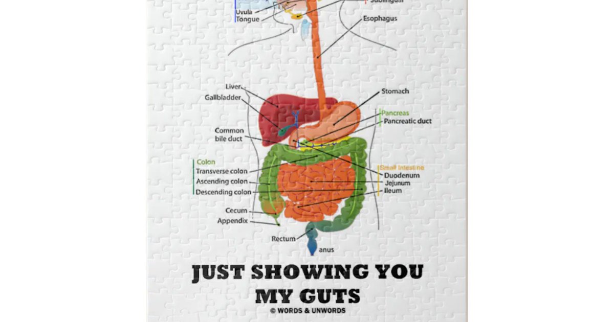 Just Showing You My Guts (Digestive System Humor) Jigsaw Puzzle | Zazzle