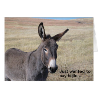 Just Wanted To Say Hello Free Hi Ecards Greeting Cards