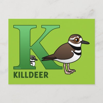 Killdeer - Birdorable Blog