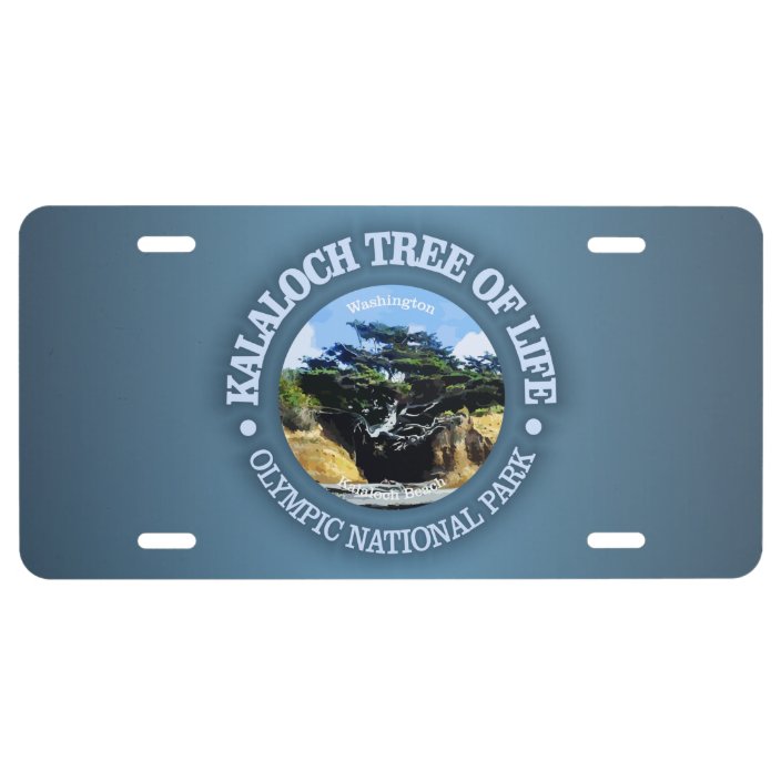 Kalaloch Tree of Life License Plate | Zazzle.com