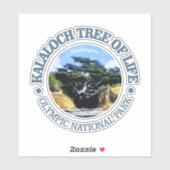 Kalaloch Tree of Life Sticker | Zazzle