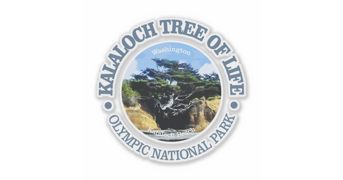 Kalaloch Tree of Life Sticker | Zazzle