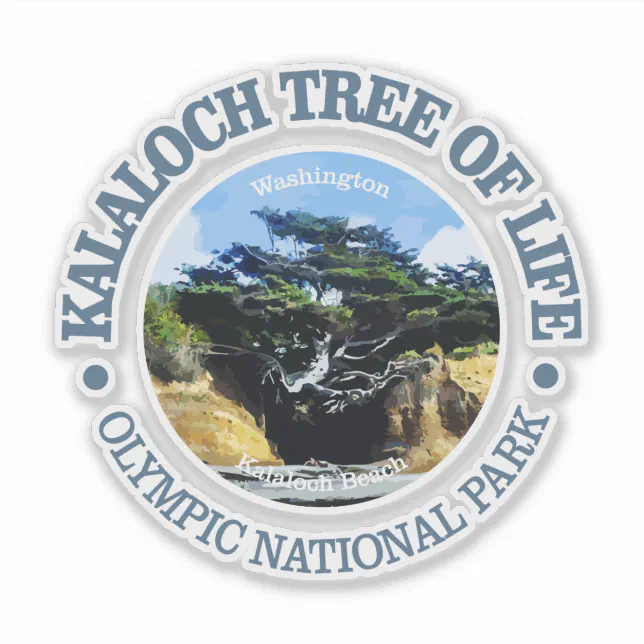Kalaloch Tree of Life Sticker | Zazzle