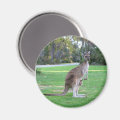 Kangaroo and Joey Magnet | Zazzle
