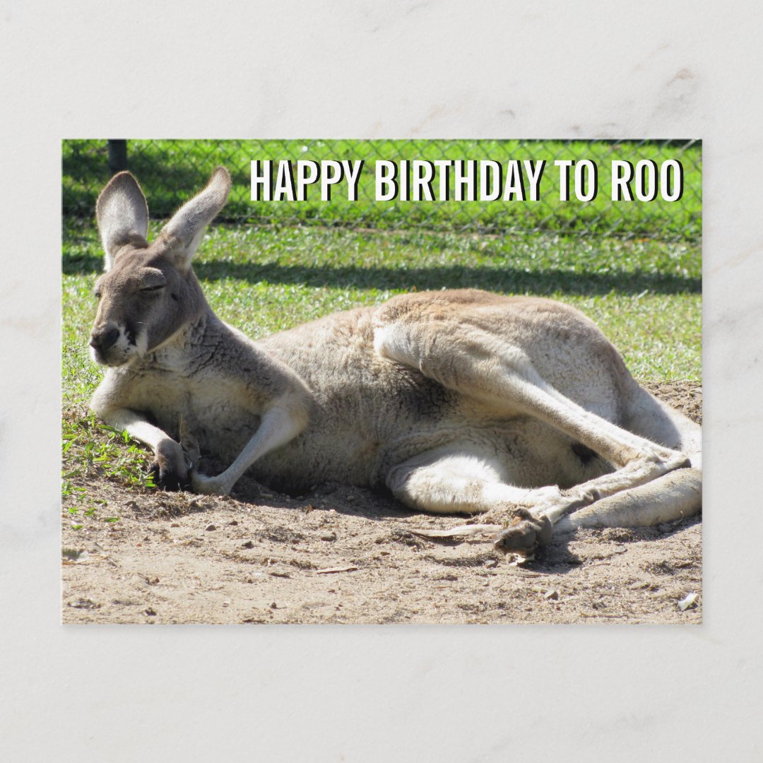Kangaroo Happy Birthday to Roo Postcard | Zazzle