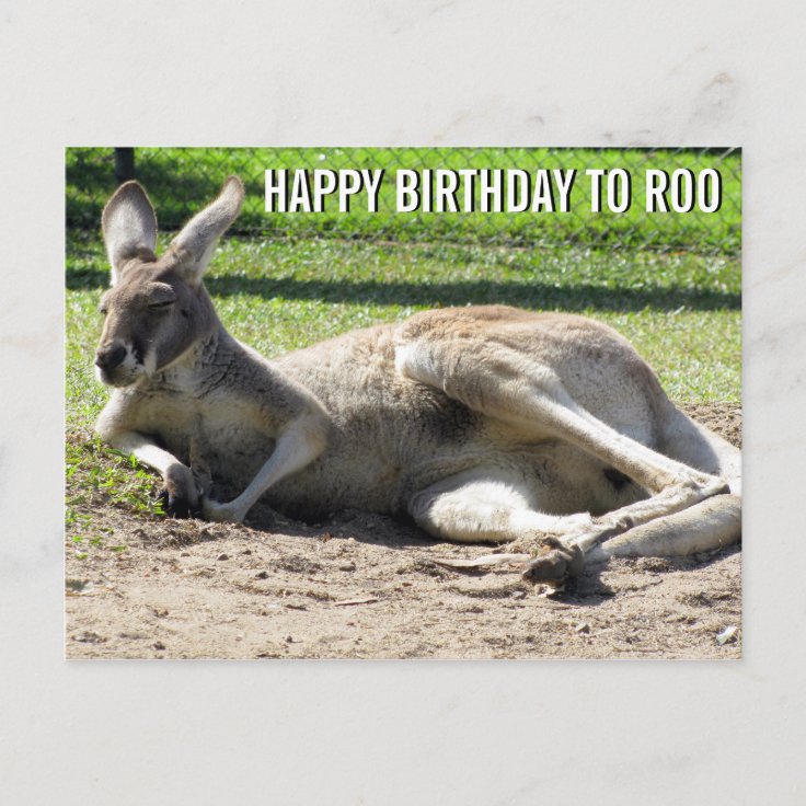Kangaroo Happy Birthday to Roo Postcard | Zazzle