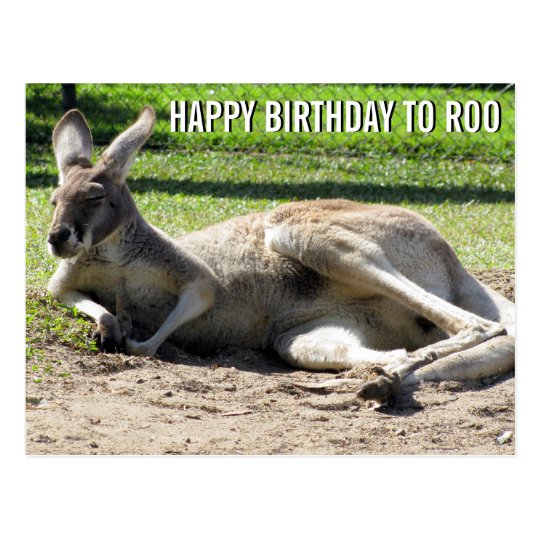 Kangaroo Happy Birthday to Roo Postcard | Zazzle.com