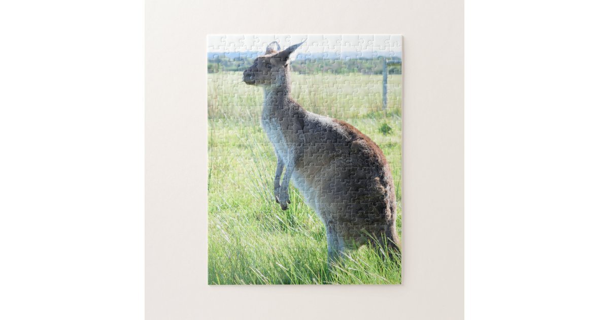 kangaroo jigsaw puzzle | Zazzle