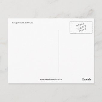 kangaroo looks postcard | Zazzle
