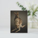 Kangaroo Postcard | Zazzle