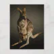 Kangaroo Postcard | Zazzle