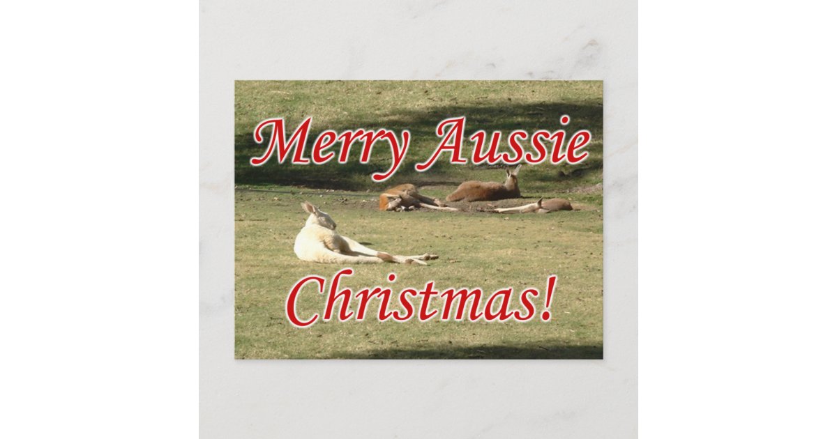 Kangaroos Postcard | Zazzle