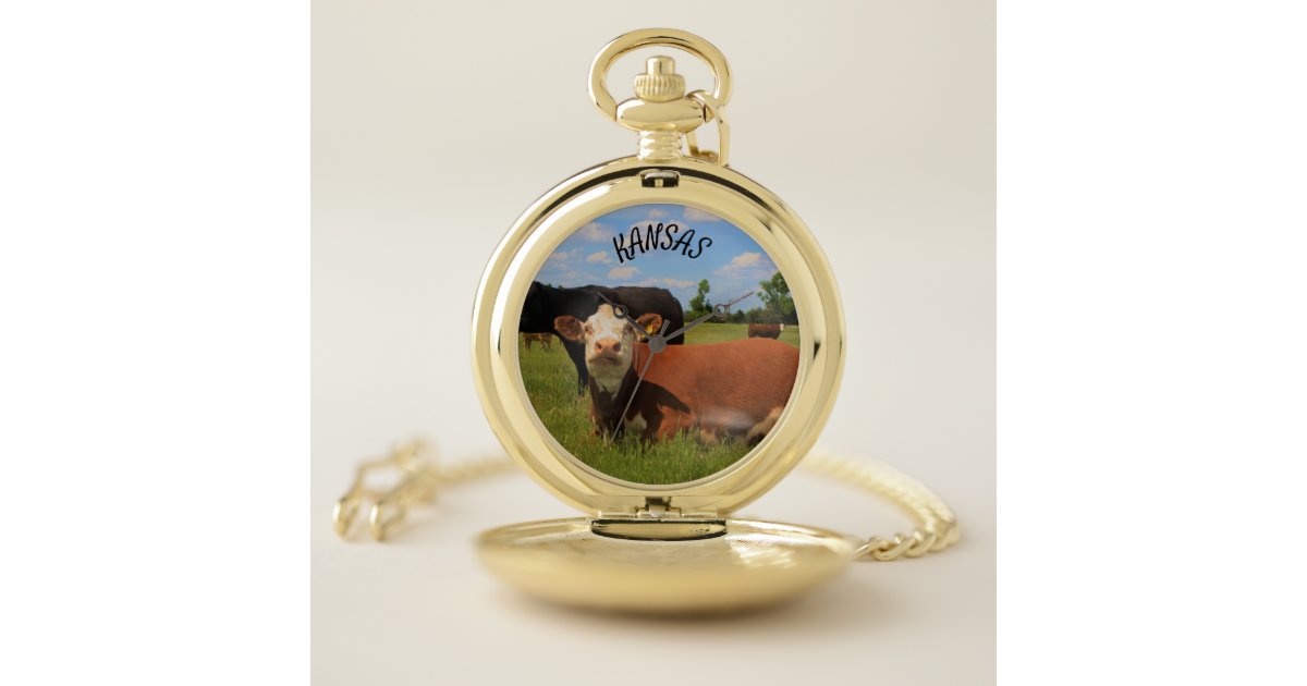 Kansas Cows in a Pasture Pocket Watch | Zazzle
