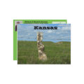 Kansas Limestone Fence Post POST CARD | Zazzle