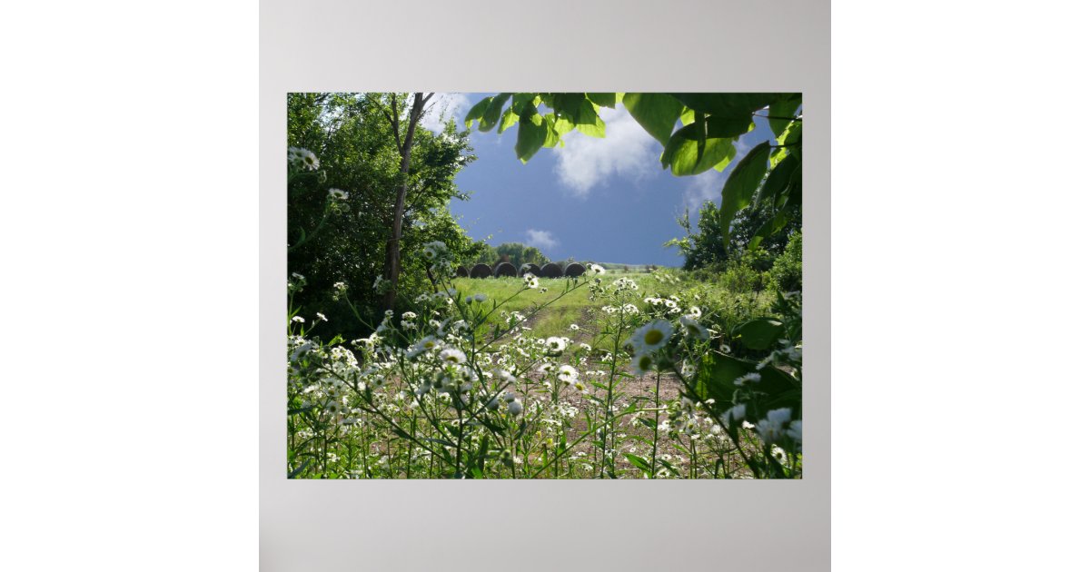 Kansas Meadows and Wildflowers Poster | Zazzle.com
