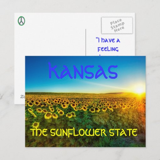 Kansas "The Sunflower State' Postcard | Zazzle