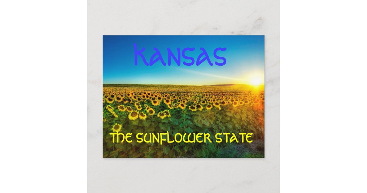 Kansas "The Sunflower State' Postcard | Zazzle