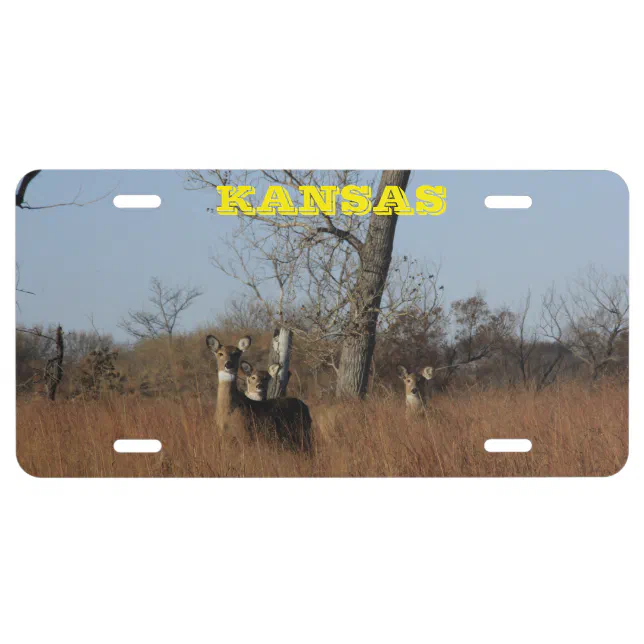 Kansas White Tail Deer License Plate | Zazzle