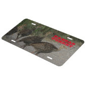 Kansas Wild Turkey on a road License Plate | Zazzle