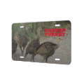 Kansas Wild Turkey on a road License Plate | Zazzle